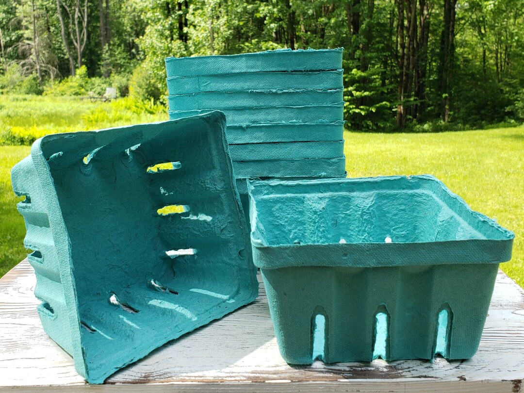 10 Berry Baskets Quart Size | Food Grade Berry Basket | Party Favor Box ...