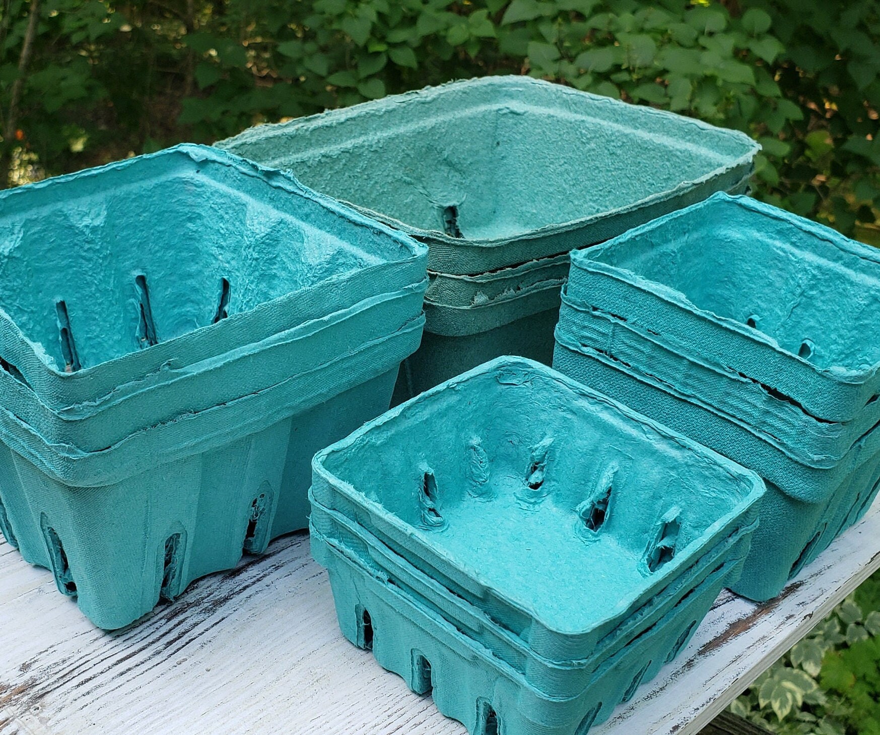 12 Berry Baskets Sampler Food Grade Berry Basket Wedding Party Favor ...