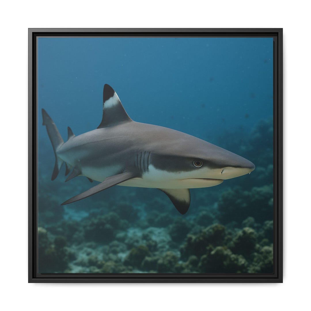 Whitecheek Shark Canvas Art: Ocean Marine Animal Wall Decor - Etsy