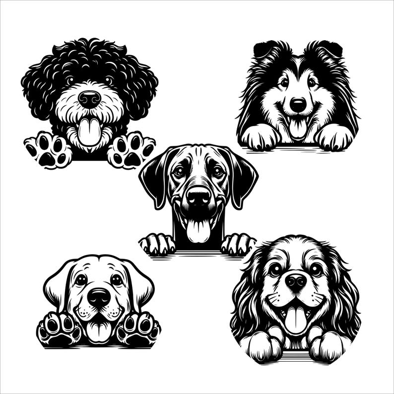 Peeking Dog SVG Clipart Bundle, 50 Breeds (digital Download) - Etsy