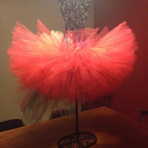 Parrot Bustle Tutu Great for Birthdays, Photography Prop, and Dance - Etsy