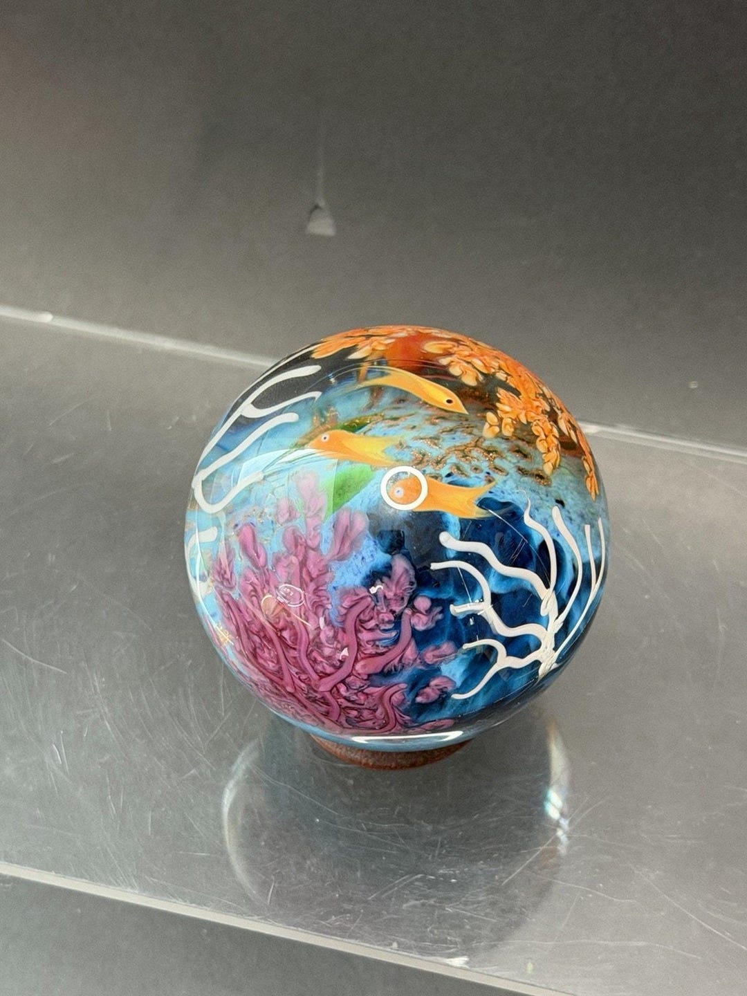 Cathy Richardson 2009 Fish Swimming Ocean Floor Lampwork Art Glass ...
