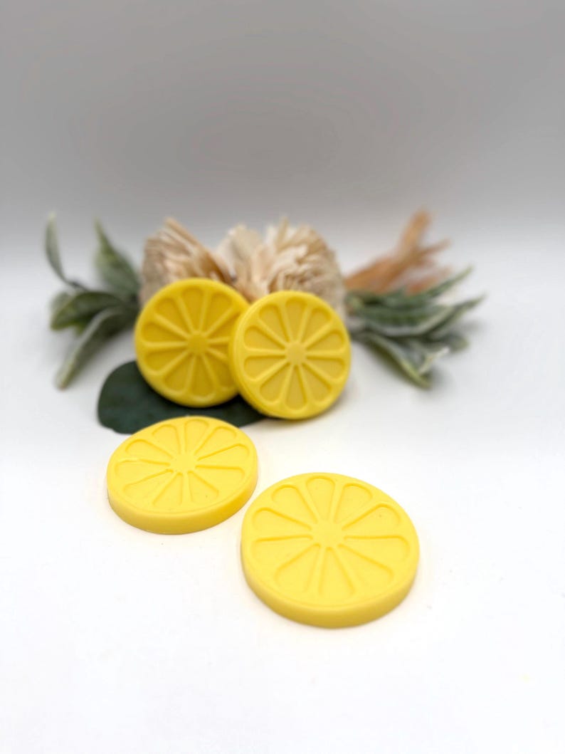 Lemon Slice Soap Favors, Personalized Baby Shower Soap - Etsy