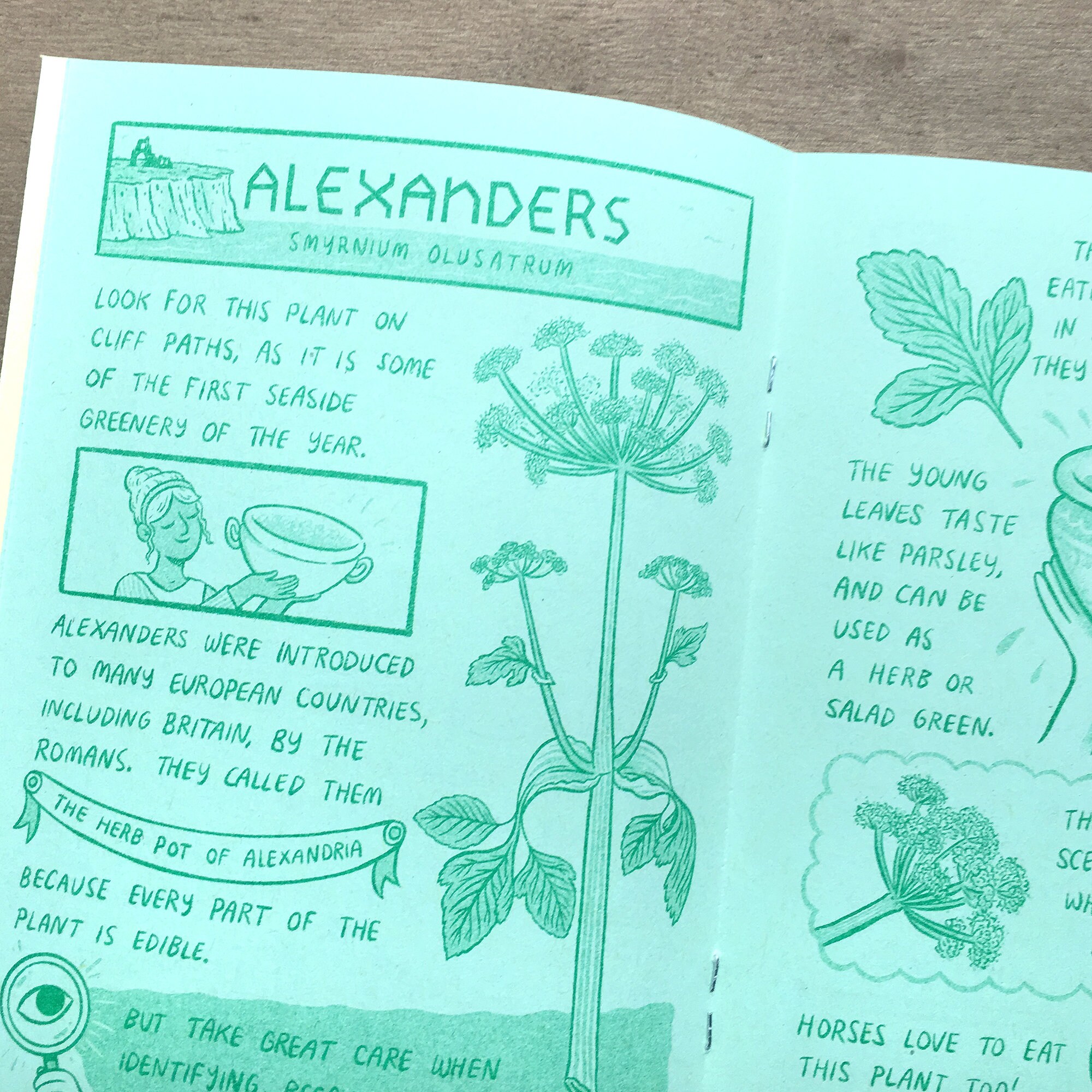 Spring Wild Plant Zine Comic Risograph Handmade | Etsy