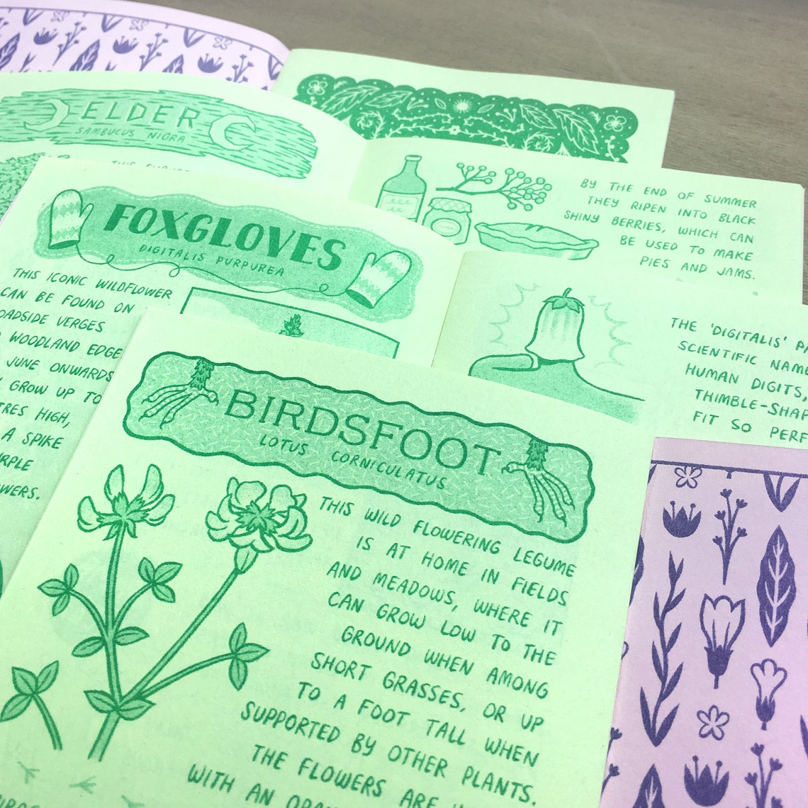 Summer Wild Plant Zine Comic Risograph Handmade - Etsy