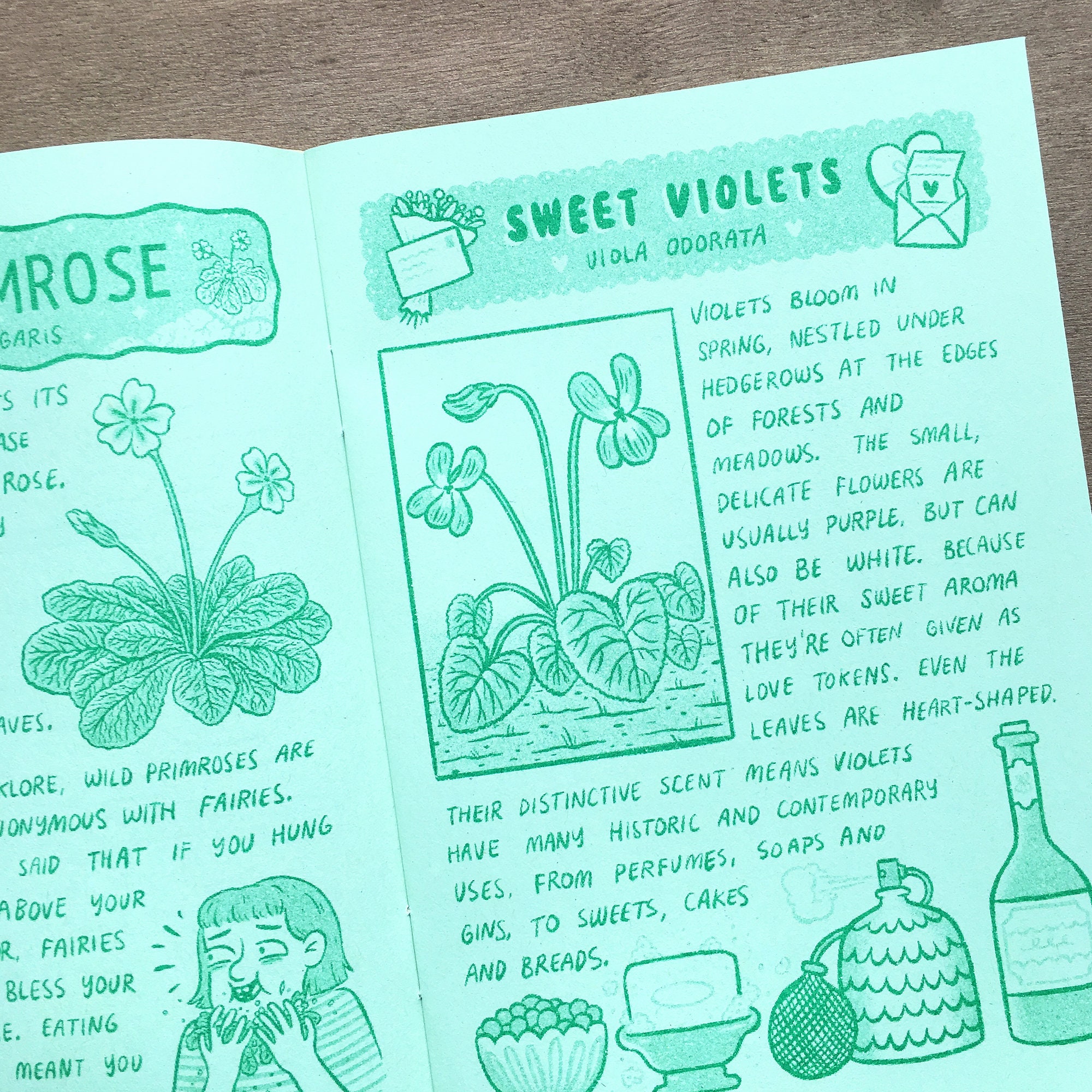 Spring Wild Plant Zine Comic Risograph Handmade | Etsy