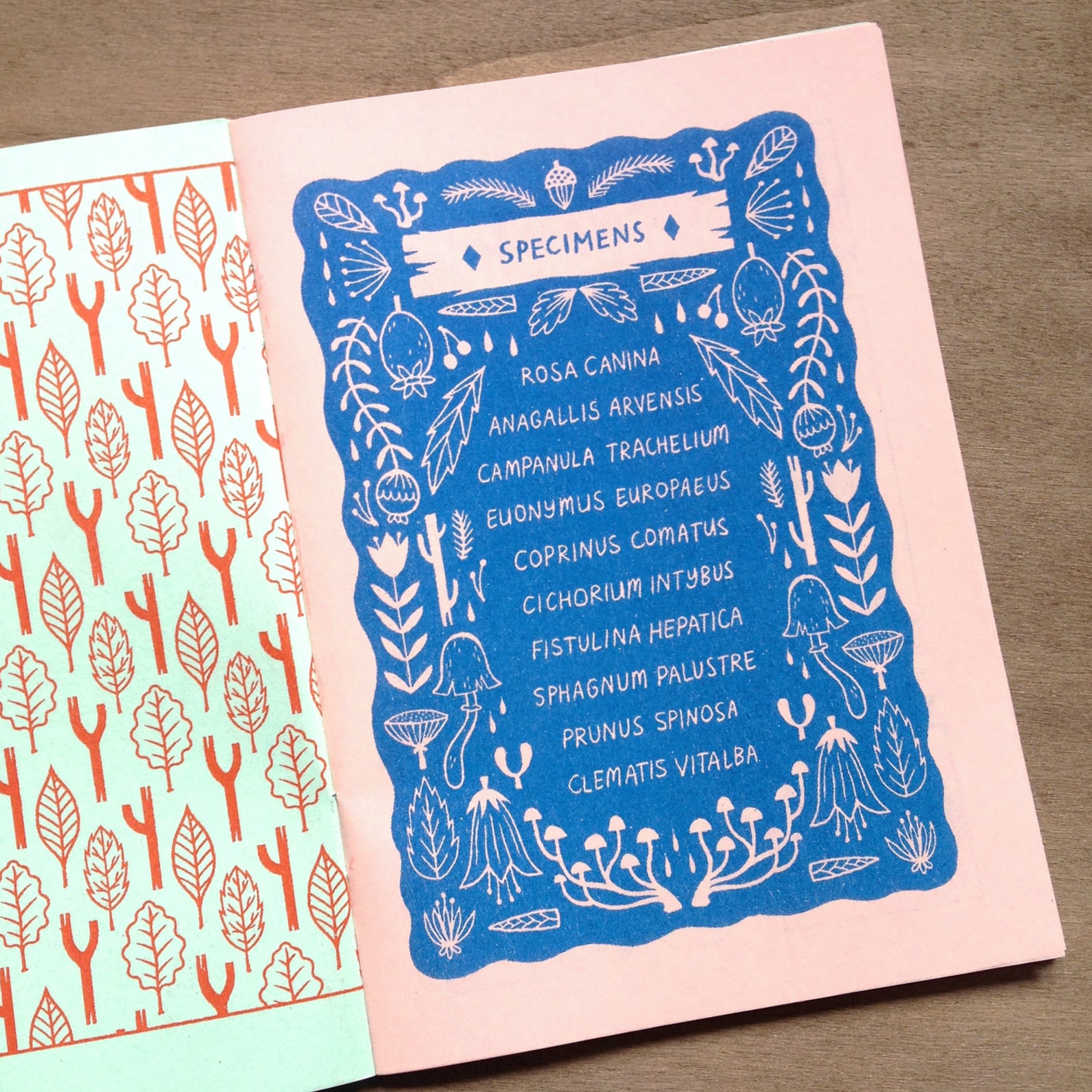 Autumn Wild - Plant Zine, Comic Risograph Handmade - Etsy