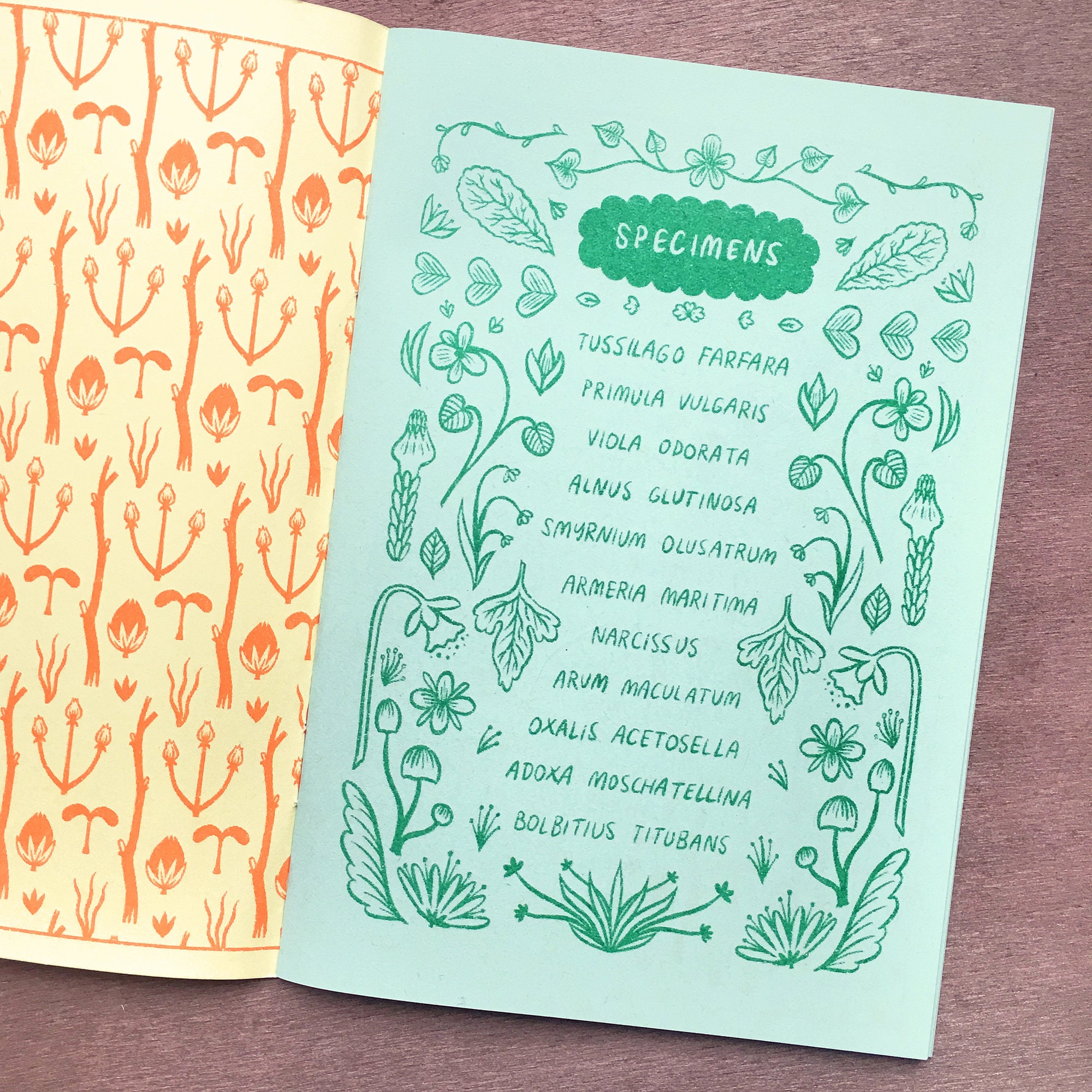 Spring Wild Plant Zine Comic Risograph Handmade | Etsy