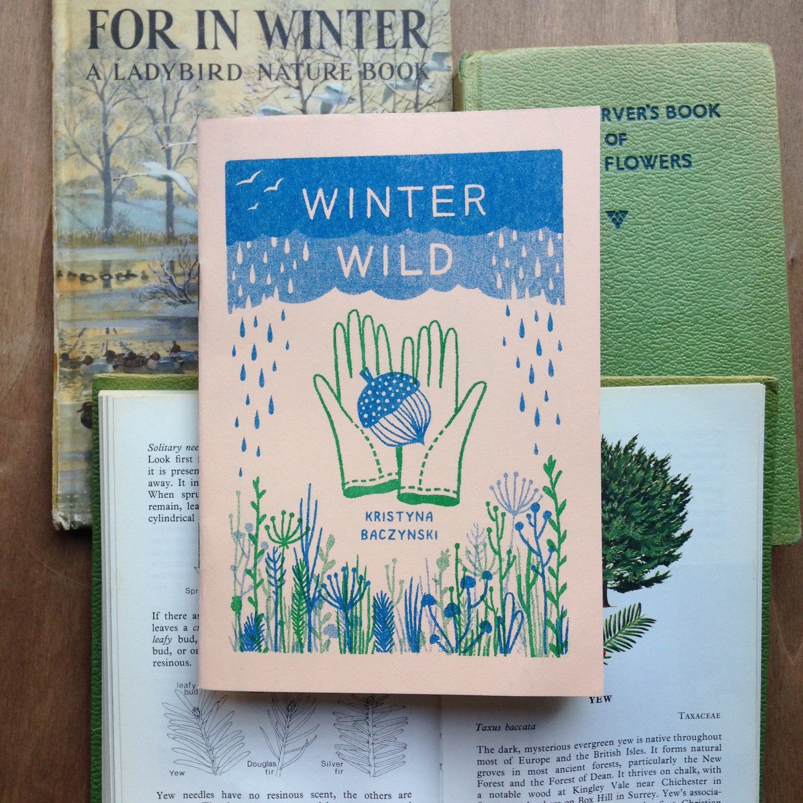 Winter Wild Plant Zine Comic Risograph Handmade - Etsy UK