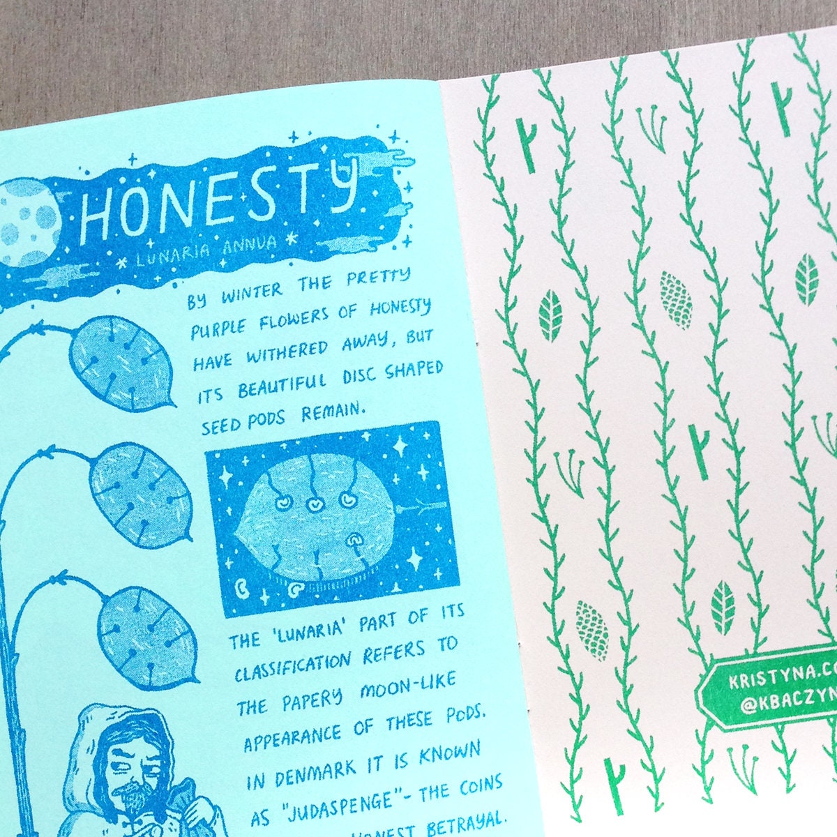 Winter Wild Plant Zine Comic Risograph Handmade | Etsy