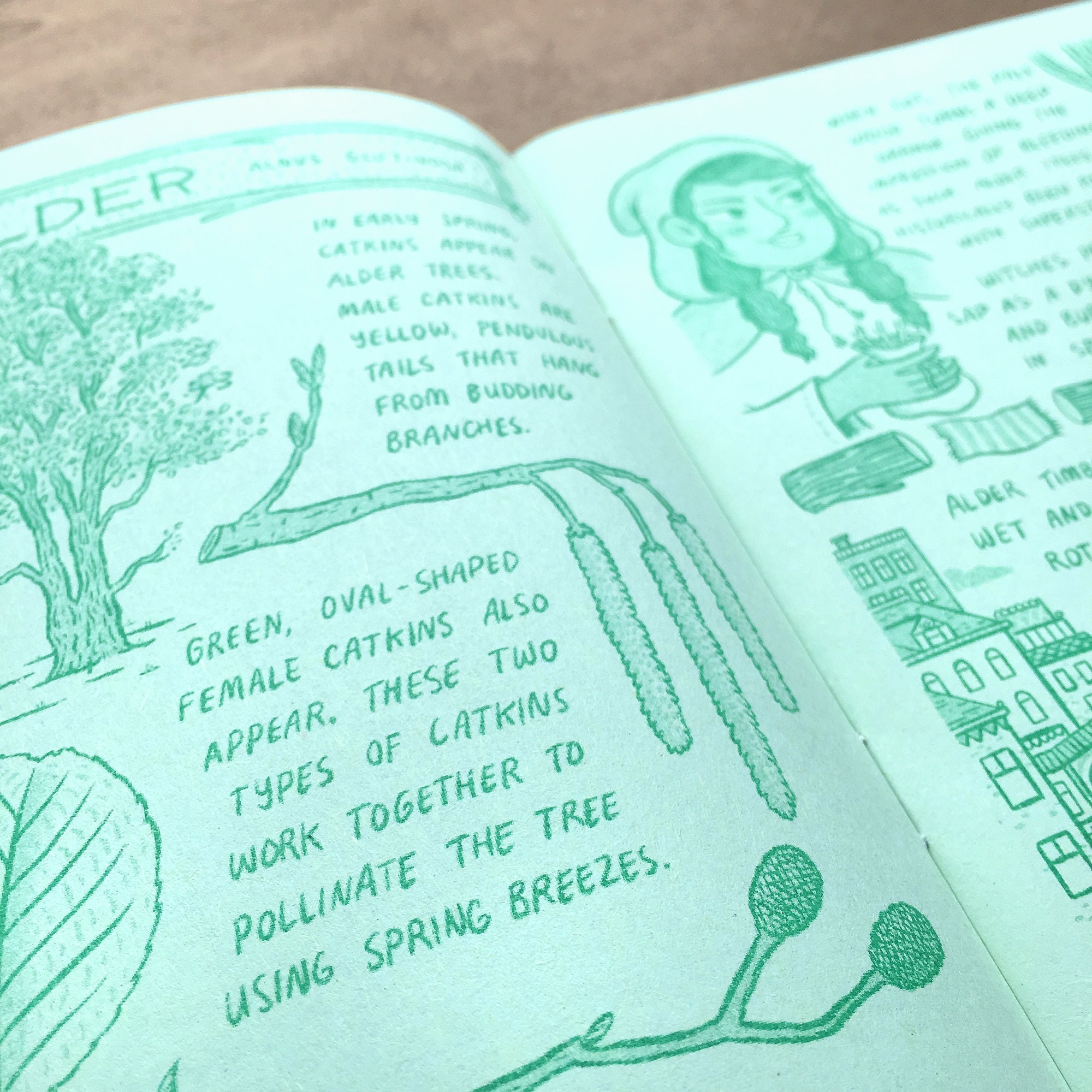 Spring Wild Plant Zine Comic Risograph Handmade | Etsy