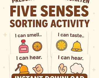Five Senses Sorting Activity: Preschool & Kindergarten Science Game ...