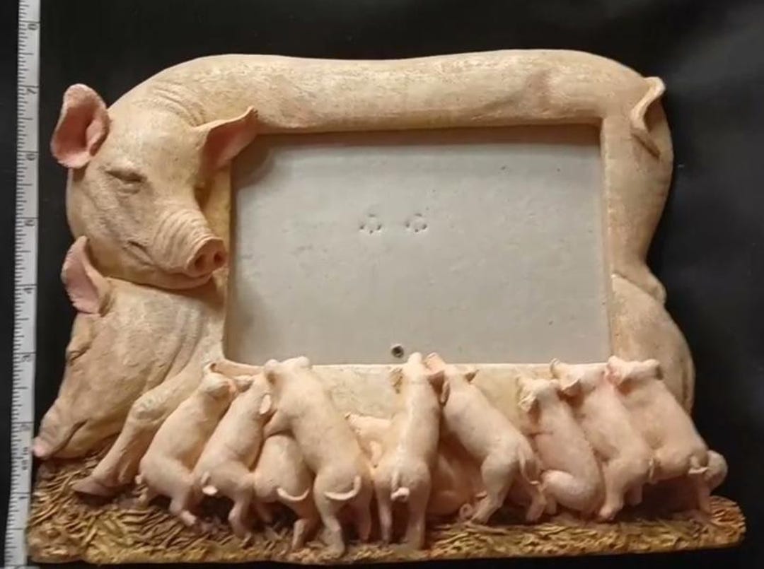 Vintage Frame Ceramic Pigs & Piglets - Etsy