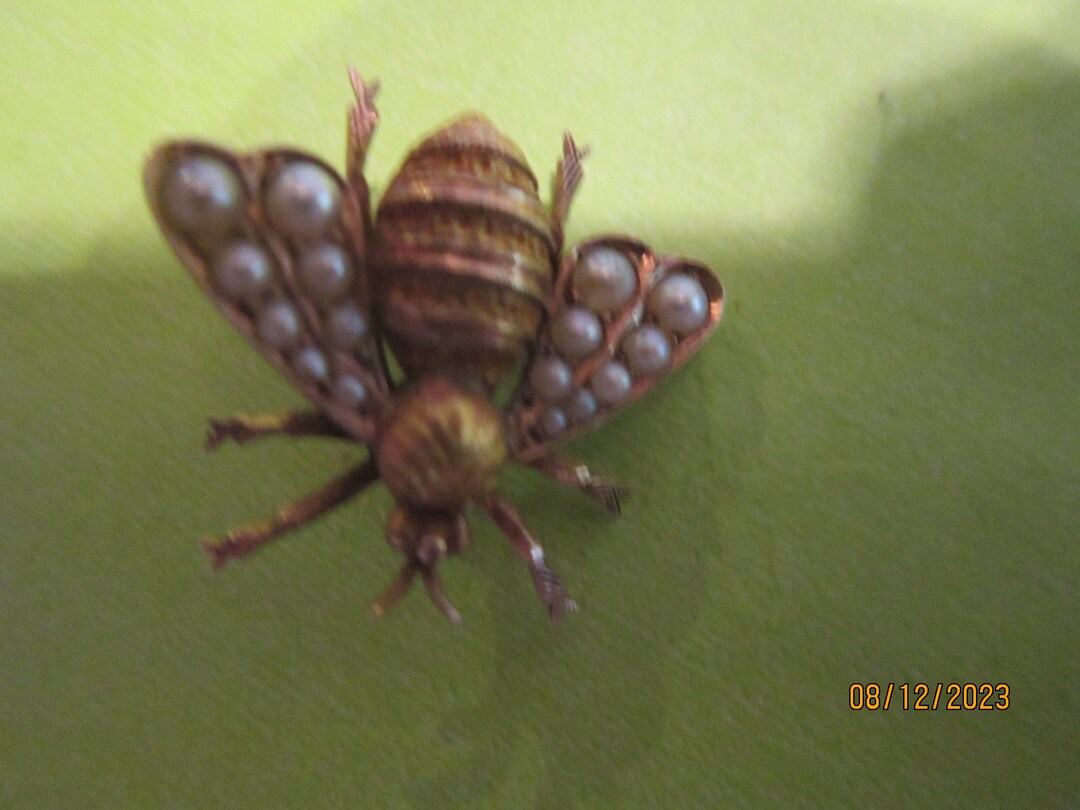 Vintage 14K Gold Bug Pin With Graduated Seed Pearls 3/4" - Etsy