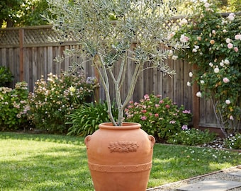 Handmade Terracotta Planter Pot: Rustic Vertical Line Texture - Etsy