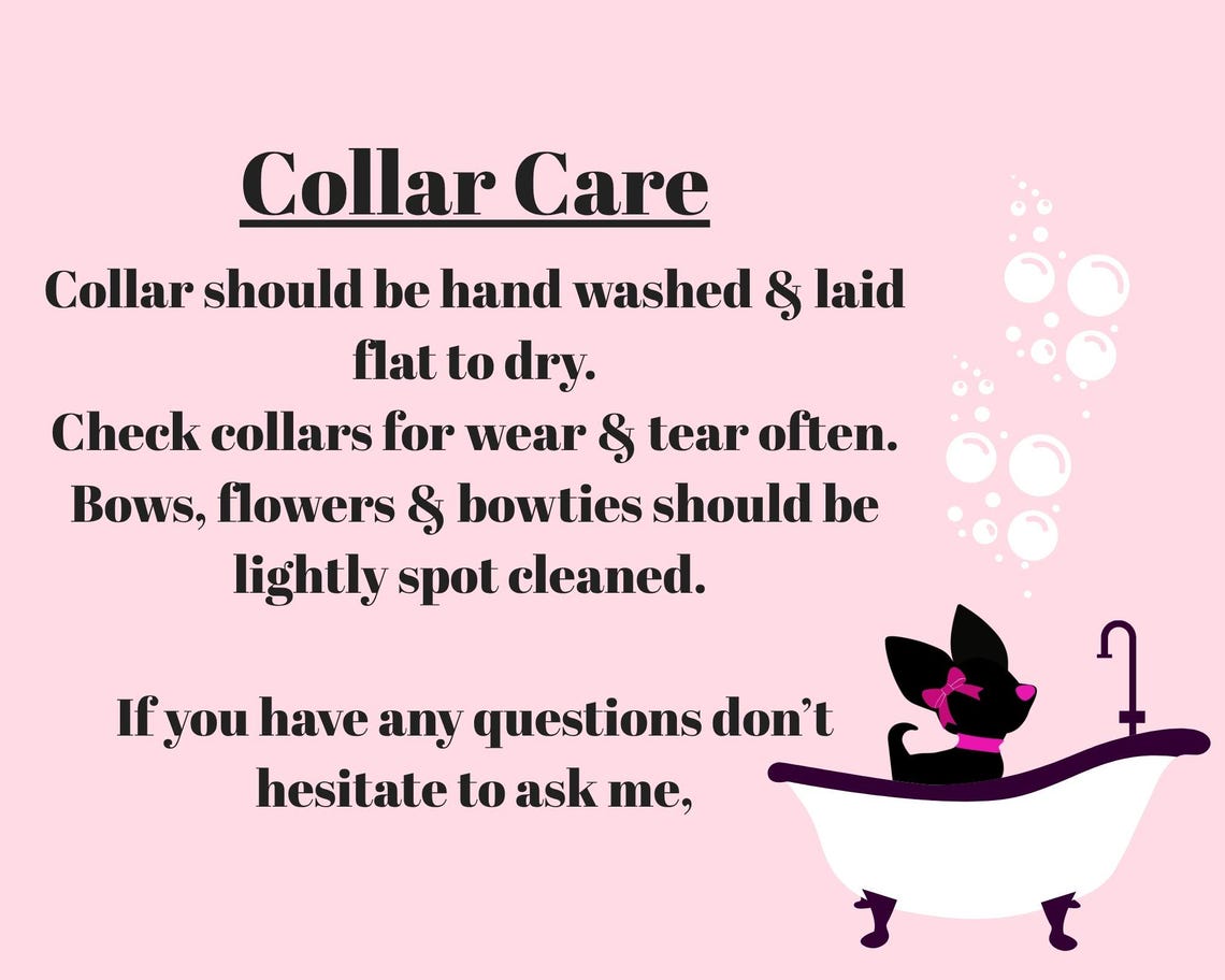 Flower Dog Collar, Dog Collar for a Girl, Rose Dog Collar, Daisy Dog ...