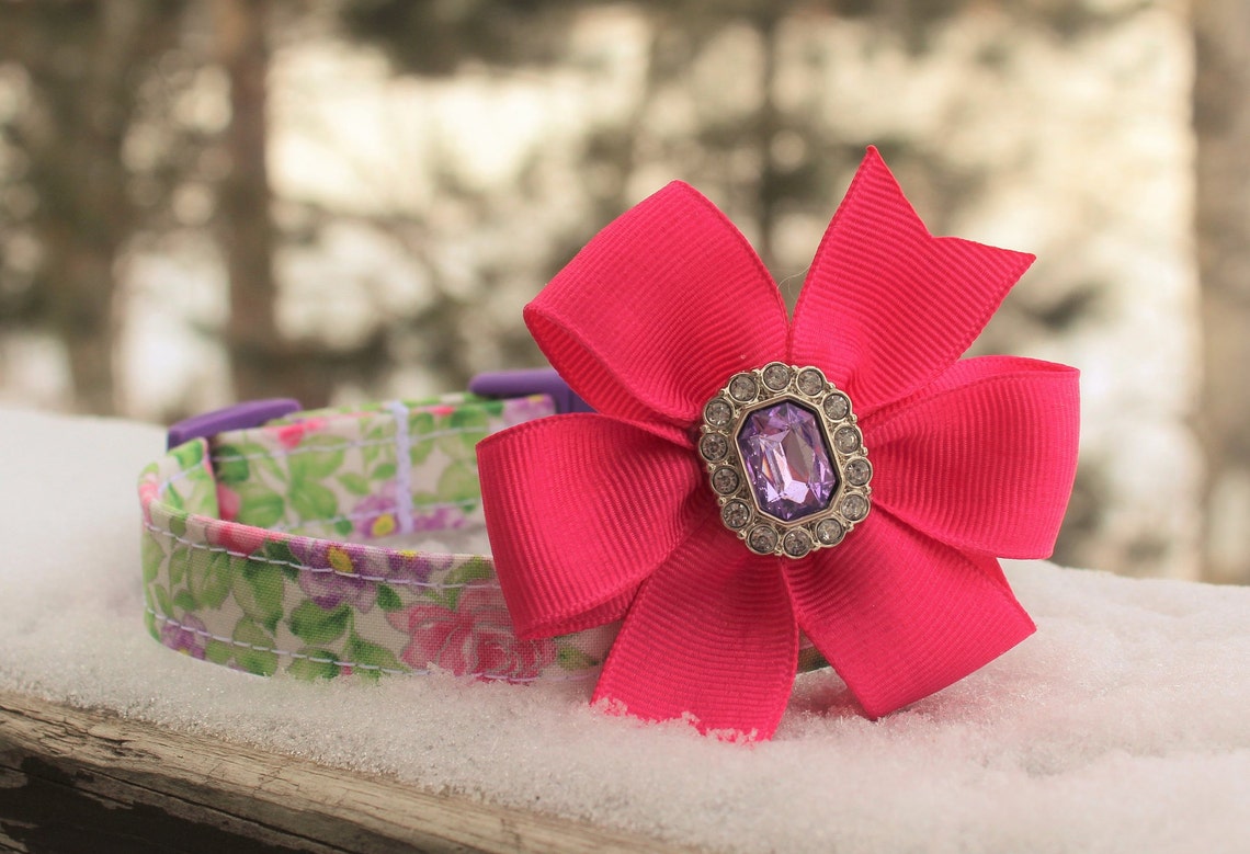 Flower Dog Collar, Dog Collar for a Girl, Rose Dog Collar, Daisy Dog ...