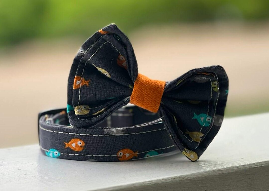 Dog Collar, Fish Dog Collar, Beach Dog Collar, Ocean Dog Collar ...