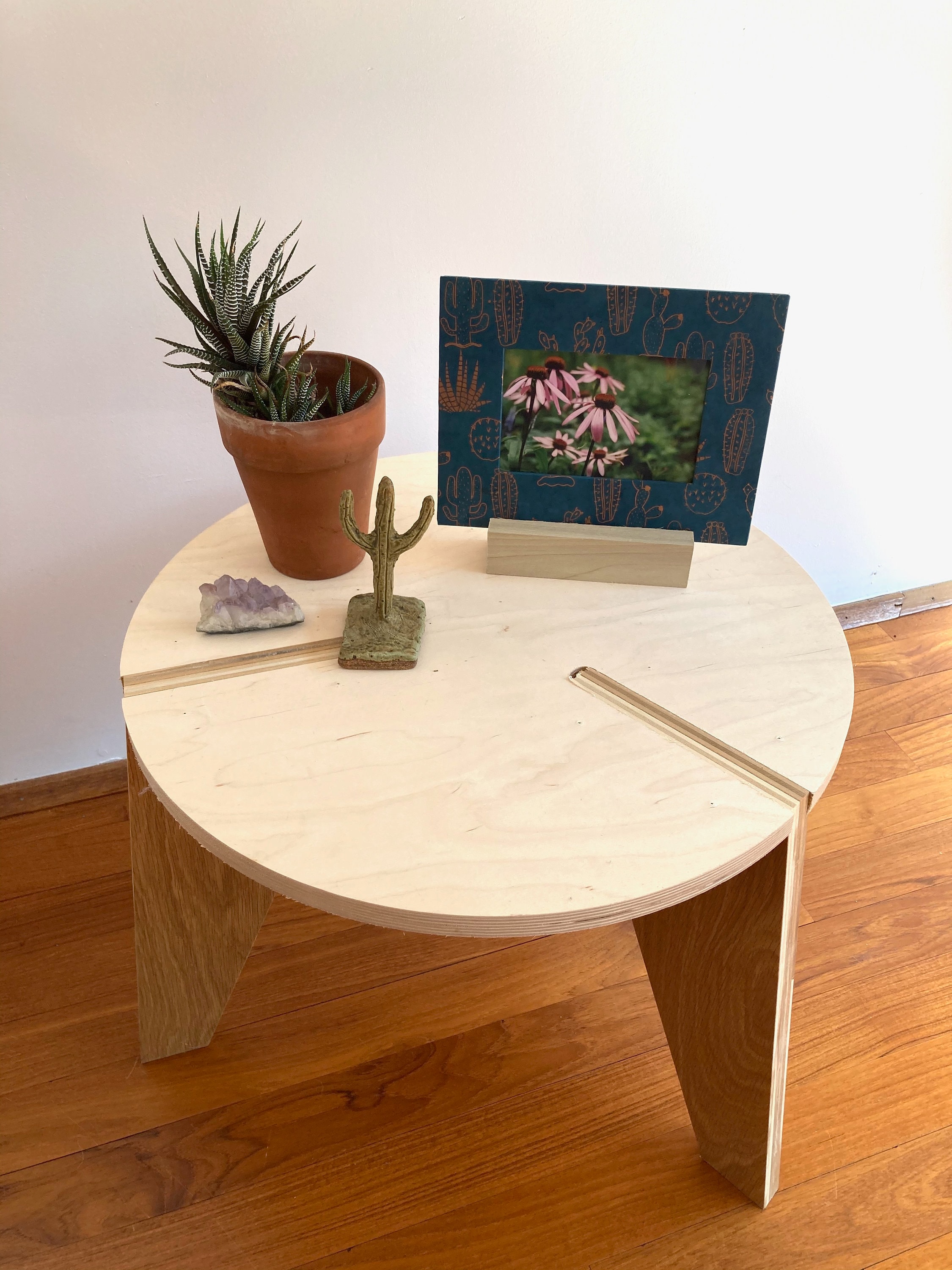 Cactus Frame Desert Frame Photo Frame Dorm Decor | Etsy