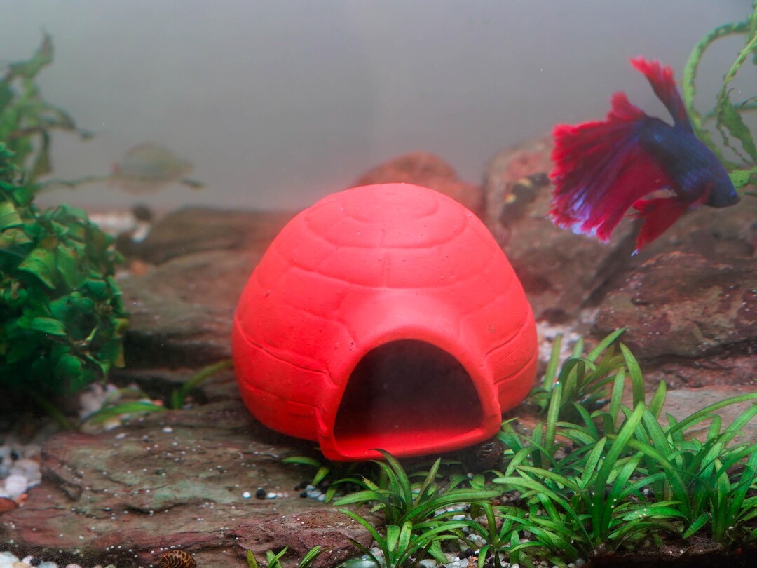 Handmade Terracotta Fish Cave: Natural Clay Aquarium Hideout - Etsy