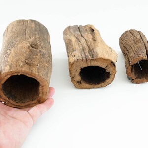 Hollow Driftwood Log: Natural Aquarium Cave, Betta Fish Hideout - Etsy