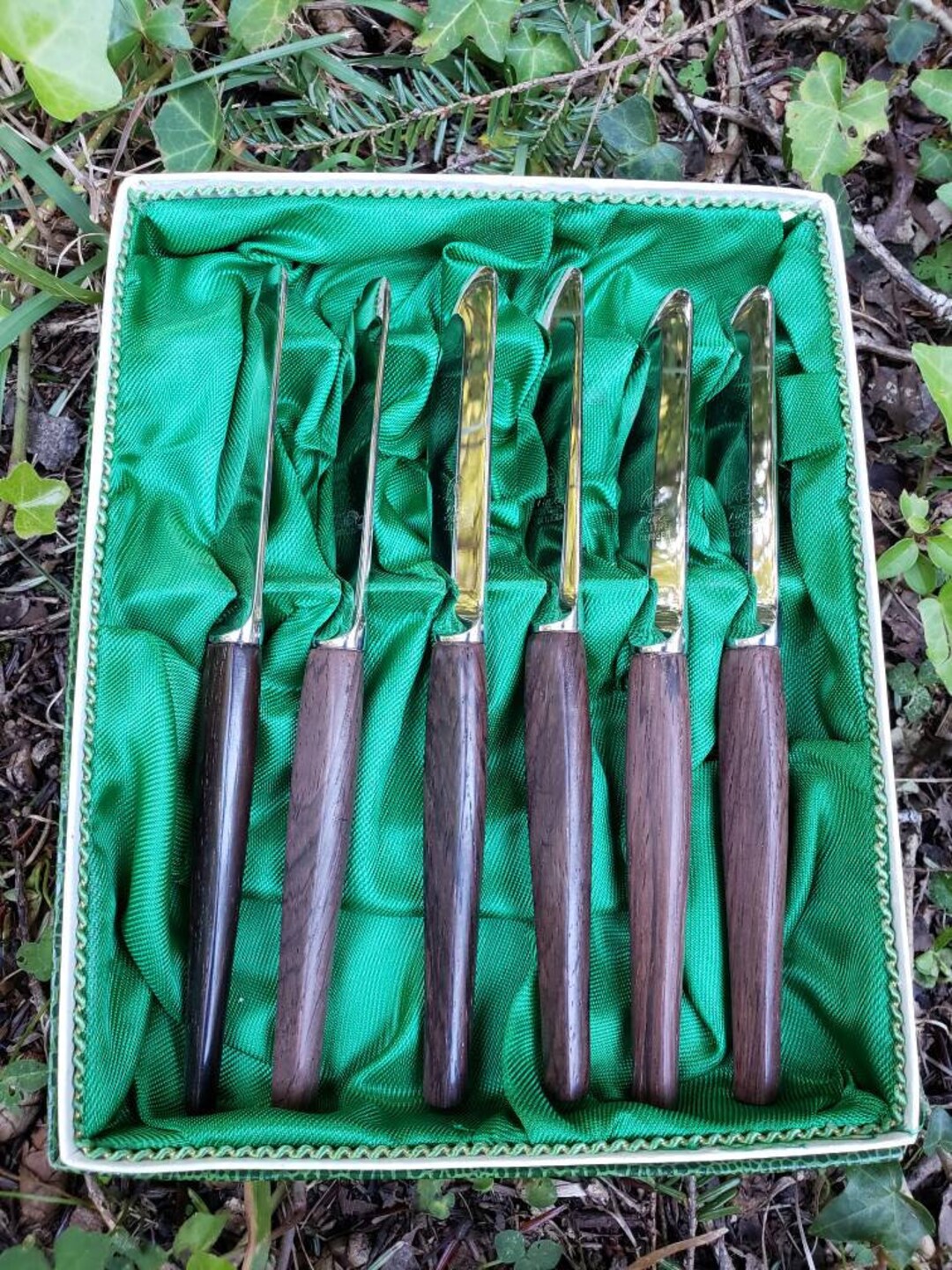 Mid Century Modern Set of 6 Rosewood Handle Spreader Knives in Original ...