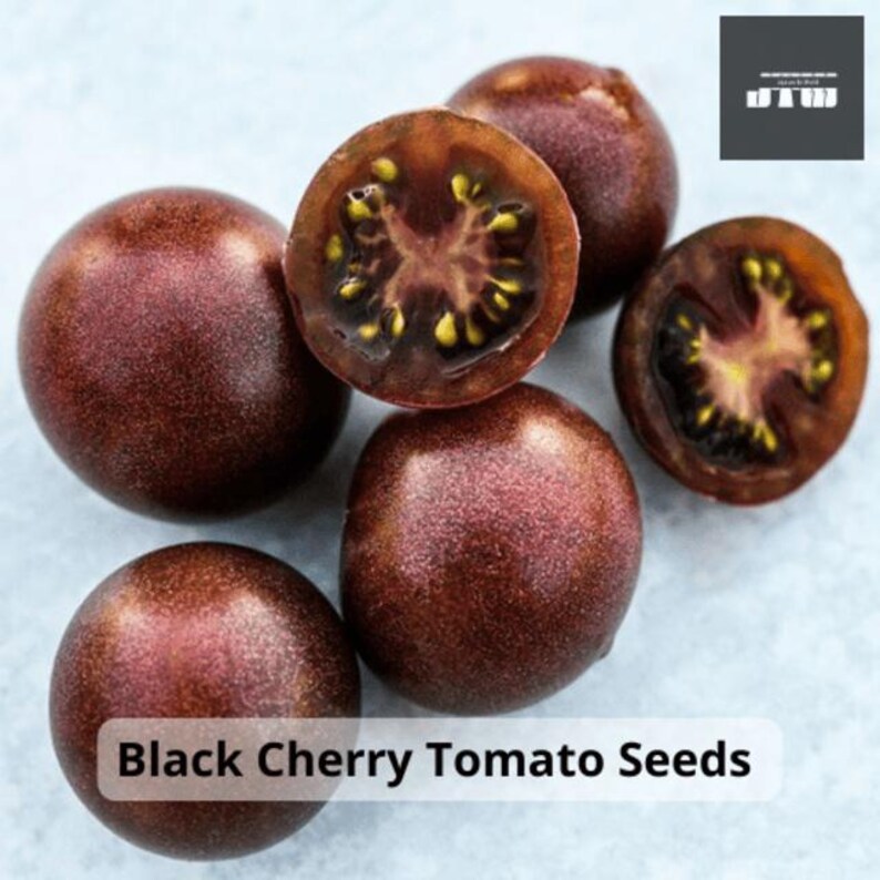 Black Cherry Tomato Seeds | Heirloom Non-gmo Sweet Cherry Tomatoes | Prolific, Juicy, Easy ...