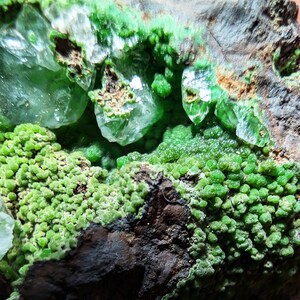 Conichalcite From Ojuela Mine, Mexico Green Botryoidal Conichalcite Raw ...