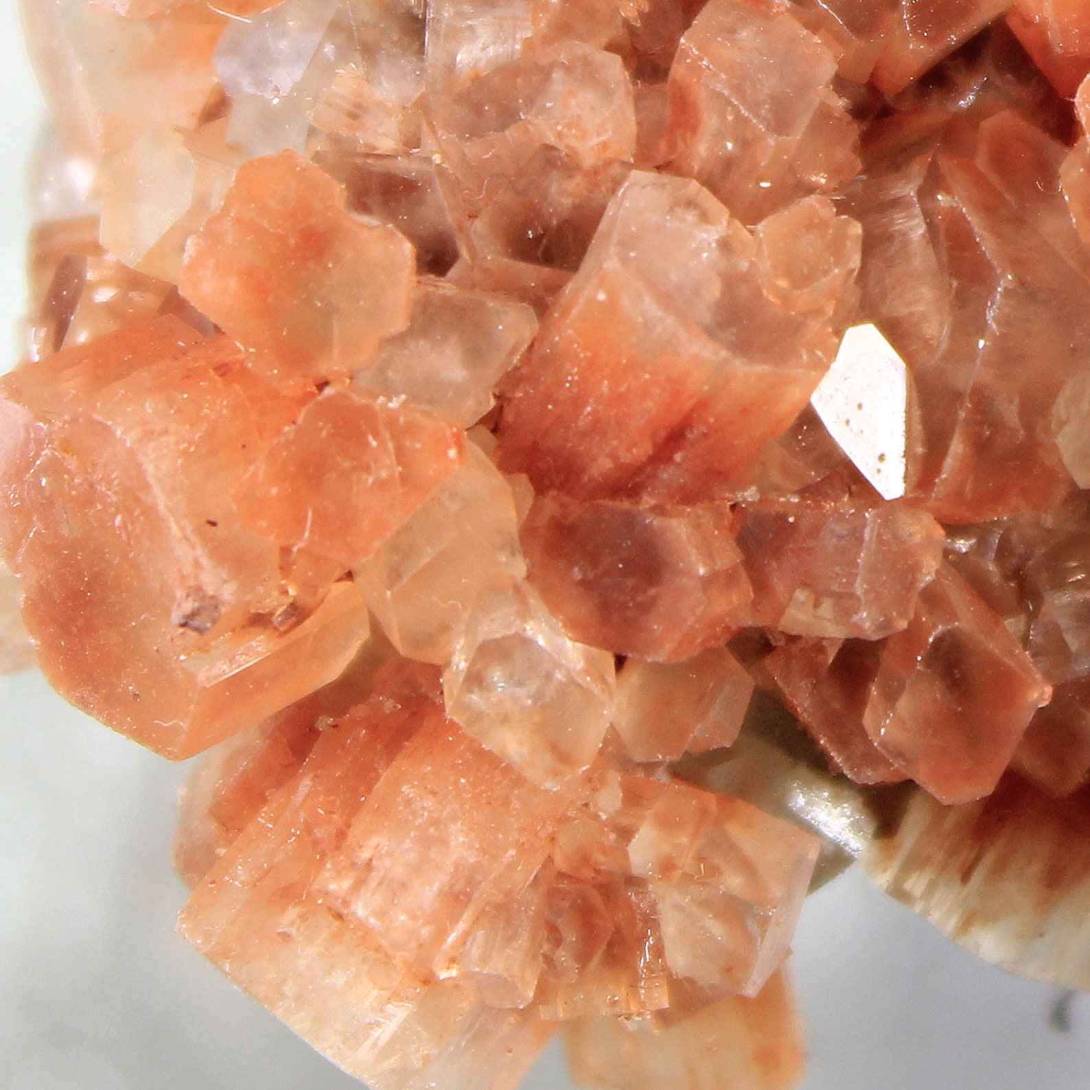 Aragonite Sputnik Cluster Star Cluster Raw Mineral Display | Etsy