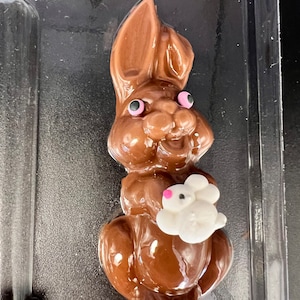 Easter Bunny Lolly Pop / Floppy Ear Bunny / Easter Molds / Chocolate ...