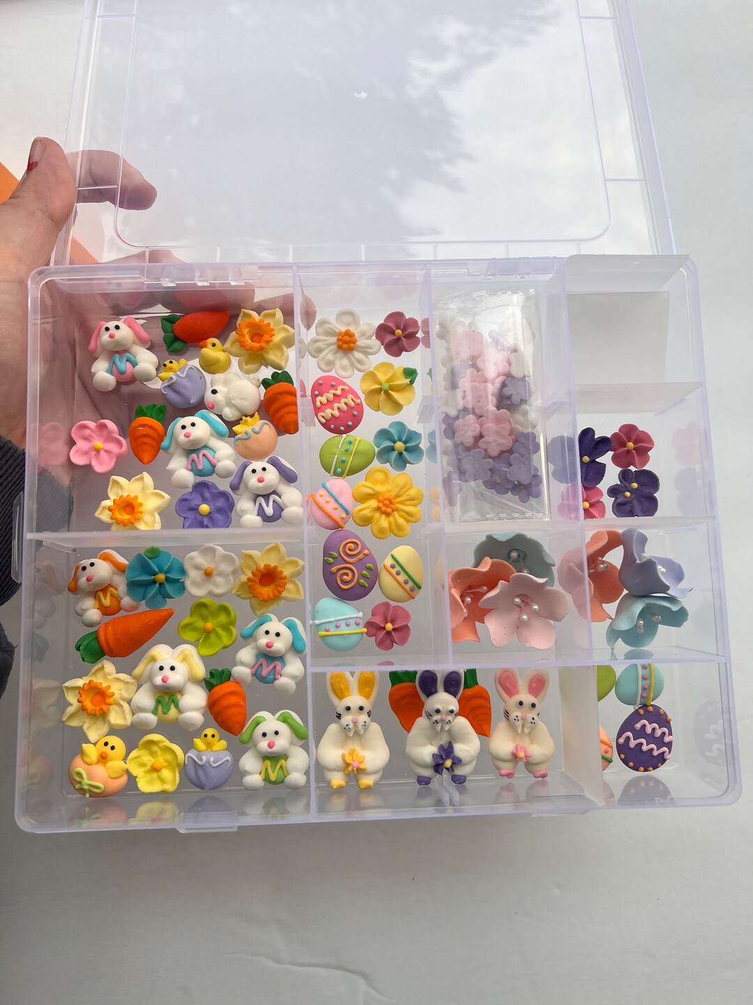 DLXE Spring Edible Icing Deco Set With Case / Spring Sugars / Bunny ...