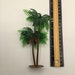 Palm Tree Toppers / Double Palm Trees on Base / Large 4 1/2 - Etsy