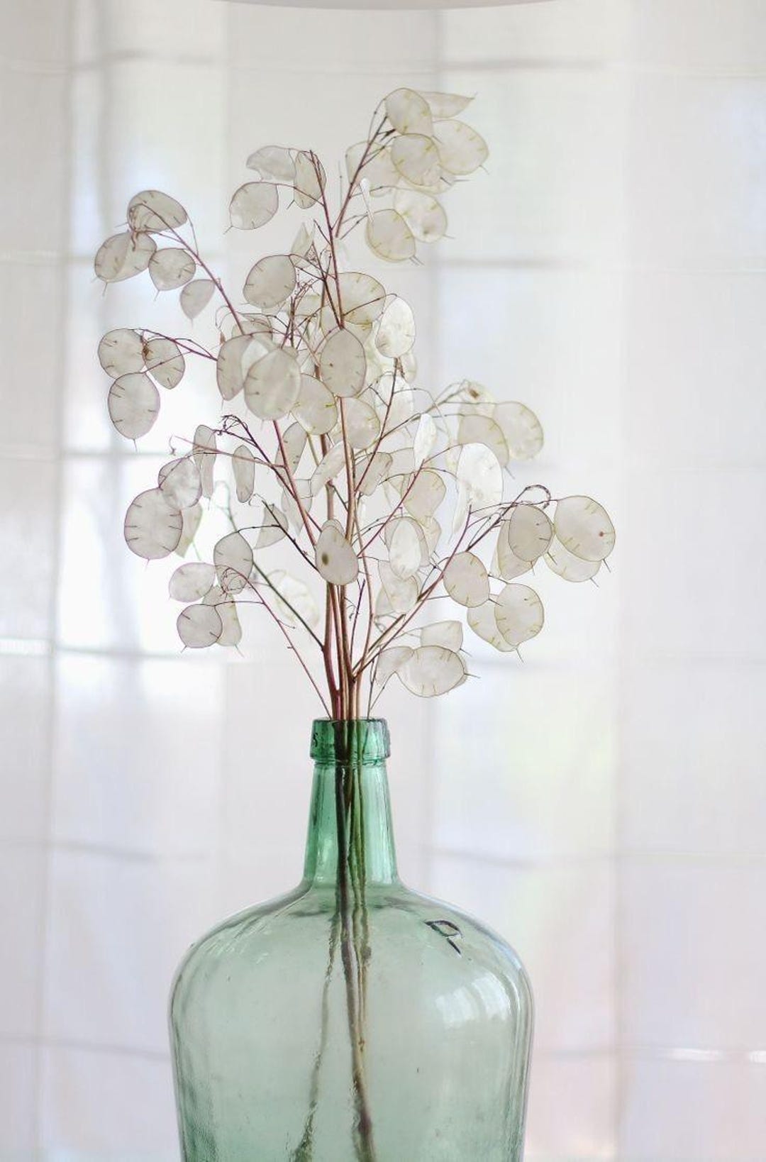 Dried Lunaria Bouquet – Natural Silver Dollar, Rustic Home Decor - Etsy