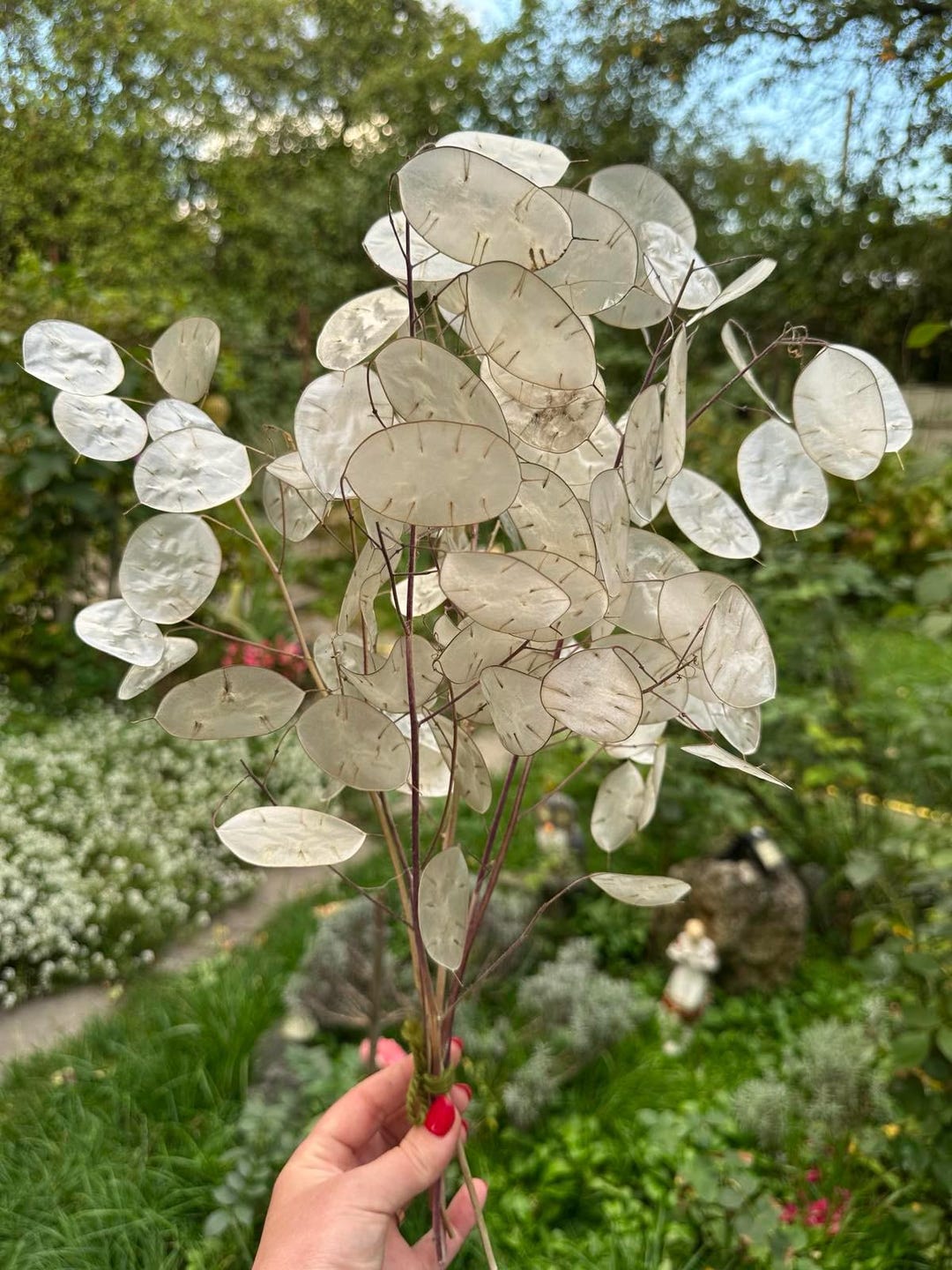 Dried Lunaria Bouquet – Silver Dollar Plant, Rustic Home Decor - Etsy