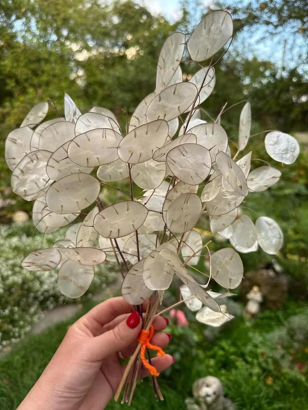 Dried Lunaria Bouquet: Silver Dollar Plant, Rustic Home & Wedding Decor ...