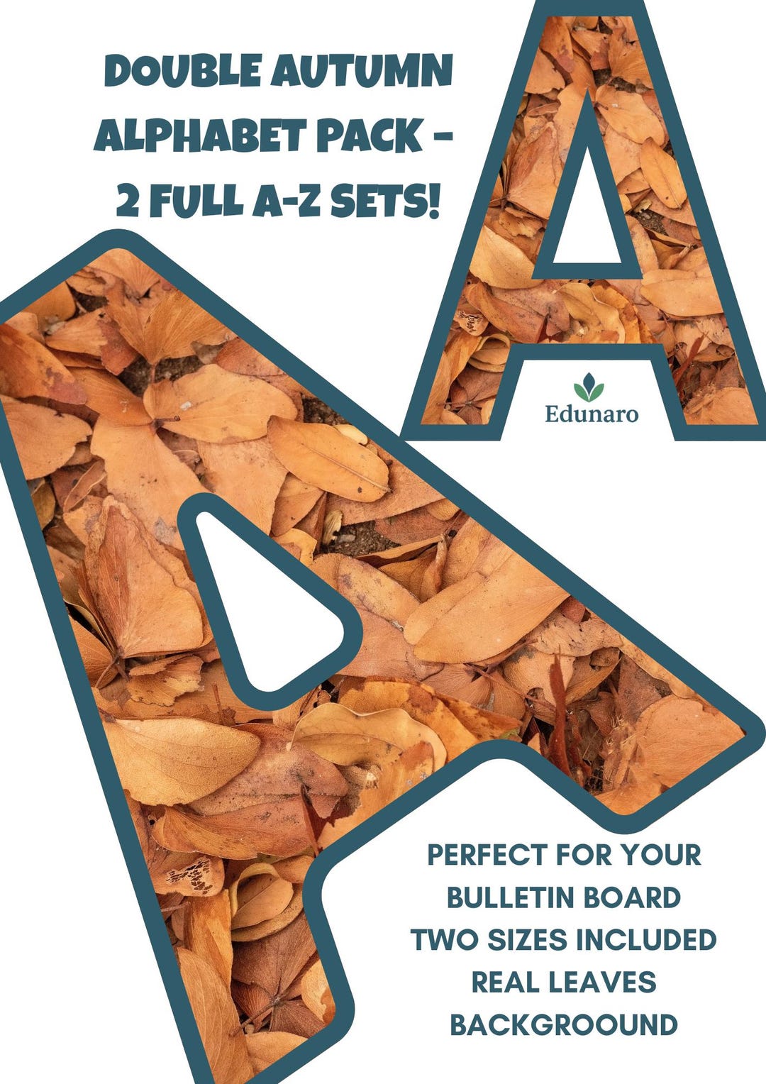 Autumn Leaves Alphabet: A4/A5 Printable Classroom Decor (digital ...