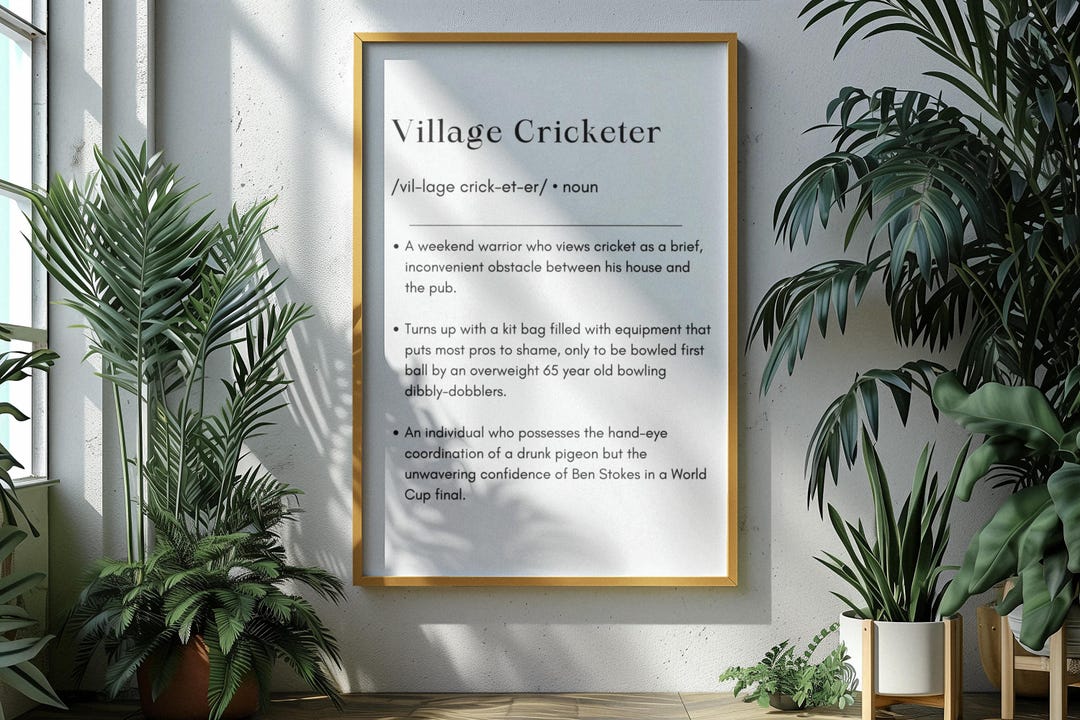 Village Cricketer Definition Cricket Poster - Village Cricket - Grade ...