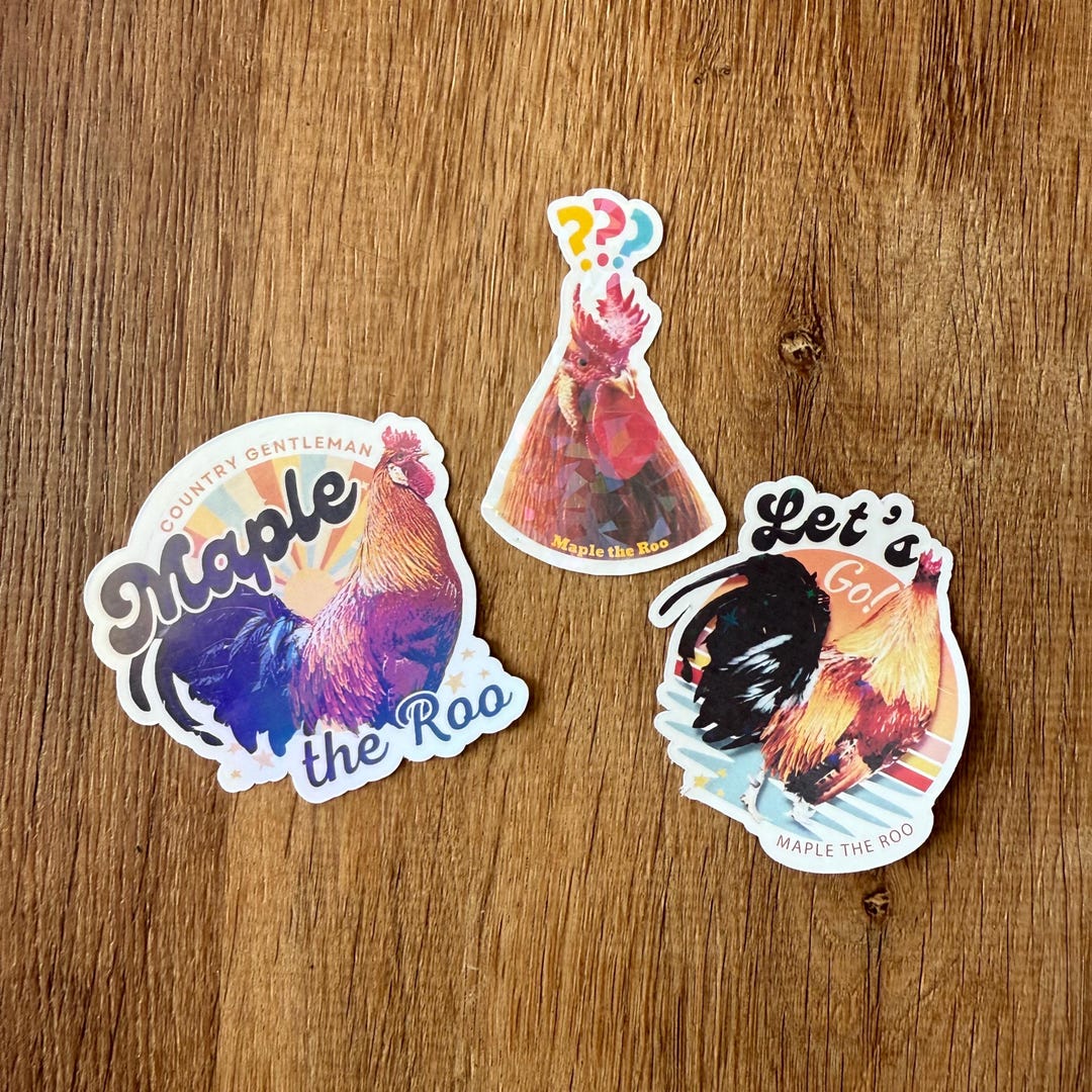 Maple the Roo Holographic Vinyl Sticker 3 Pack - Etsy