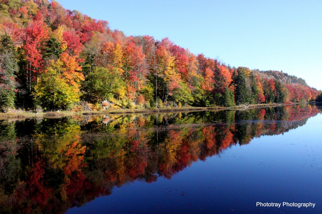 Adirondack Fall Foliage Photograph - Etsy