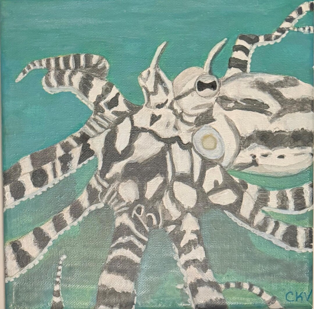 Mimic - 2024 Octopus Painting – Original Acrylic on 3/4” Thick Canvas ...