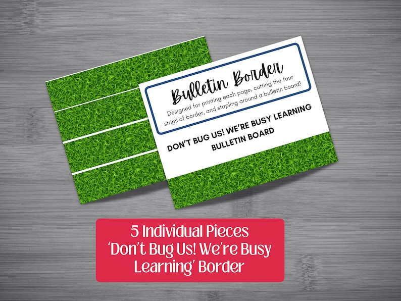Don't Bug Us, We’re Busy Learning! | Ladybug Classroom Bulletin Board ...