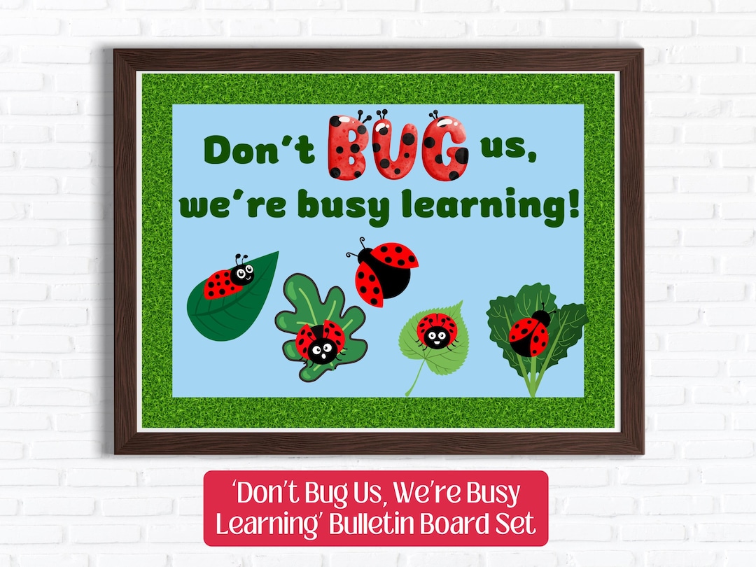 Don't Bug Us, We’re Busy Learning! | Ladybug Classroom Bulletin Board ...