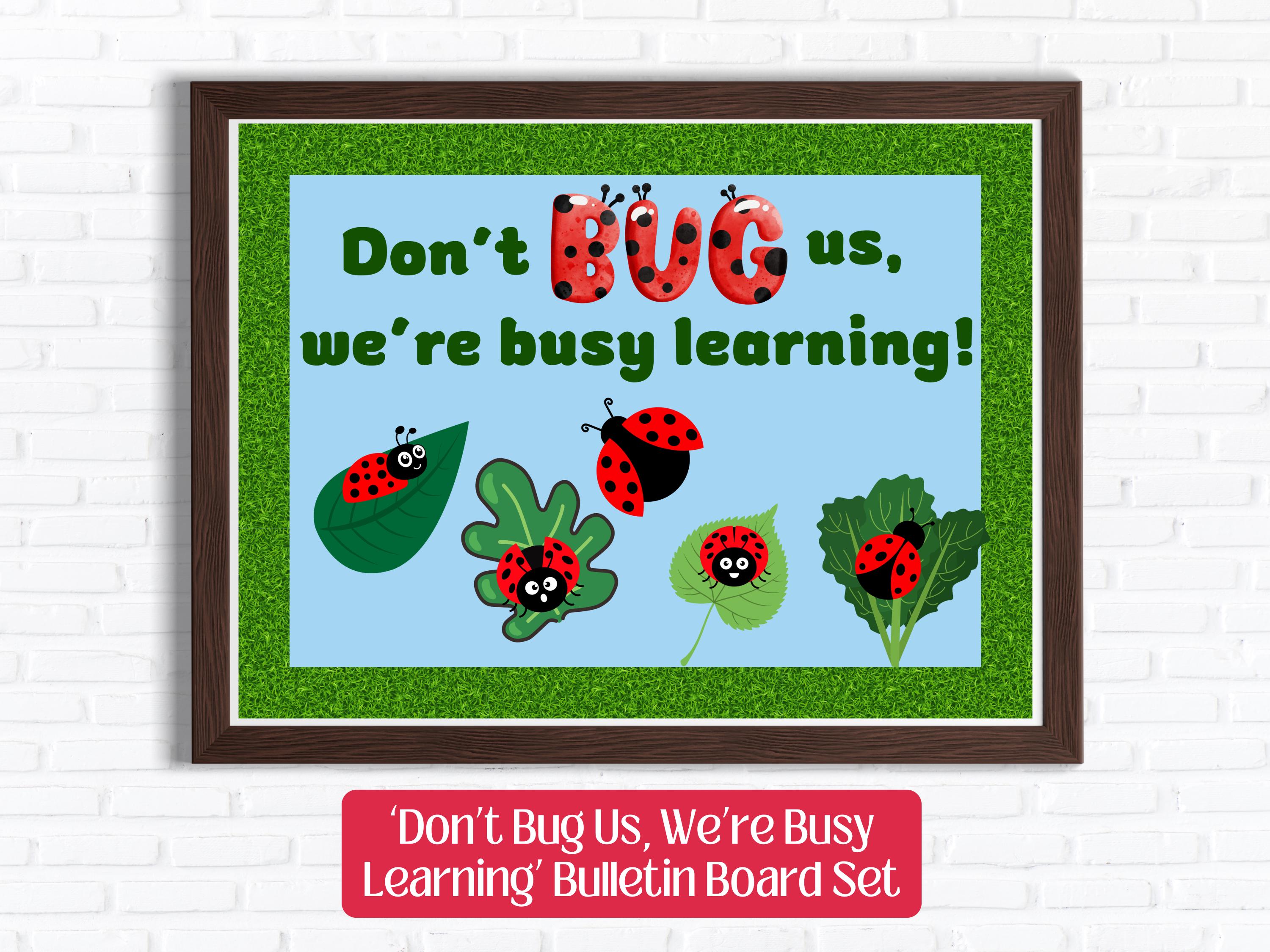 Don't Bug Us, We’re Busy Learning! | Ladybug Classroom Bulletin Board ...