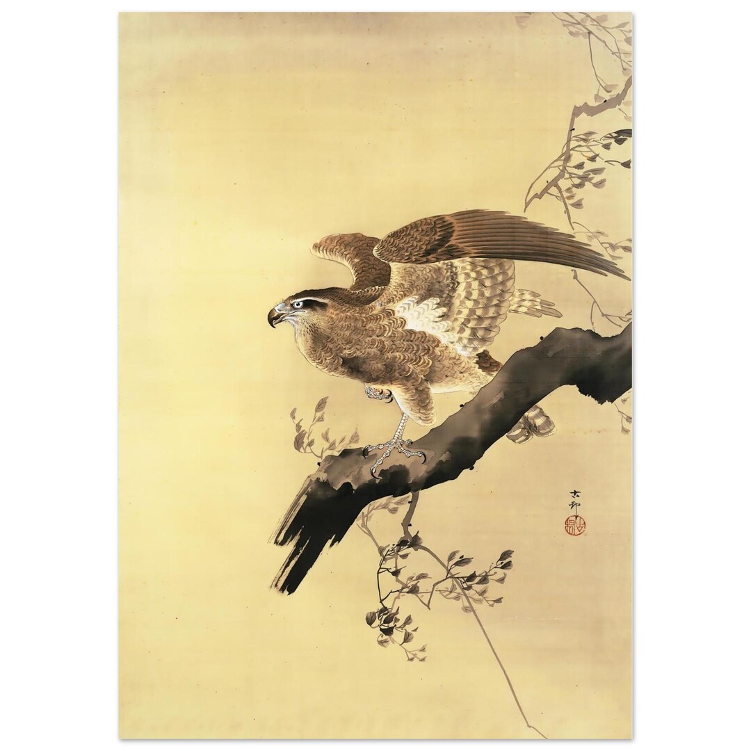 Ohara Koson Poster+art Insight Guide(27page) hawk on a Branch – Poster ...