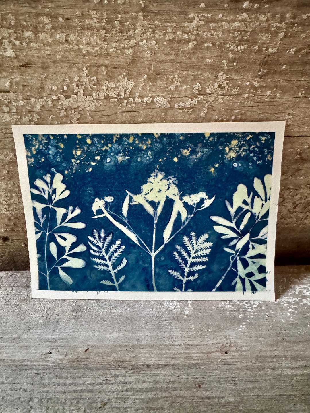 Cyanotype Original: Starry Garden With Turmeric and Kosher Salt - Etsy