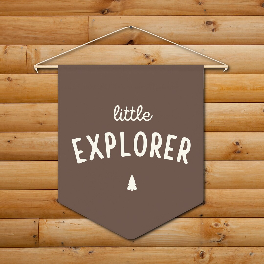 Little Explorer Pennant Banner – Wall Decor for Baby's Nursery, Kids ...