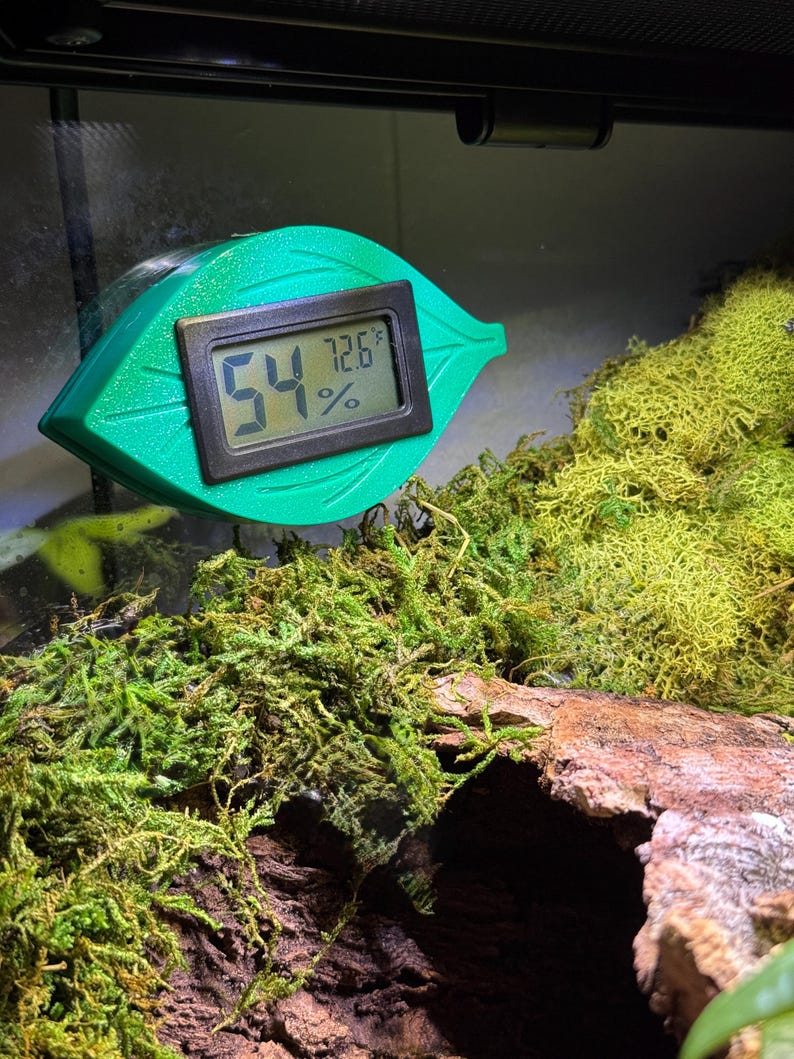 Tropical Leaf Magnetic Display Mount for Digital Reptile Gauges - Etsy
