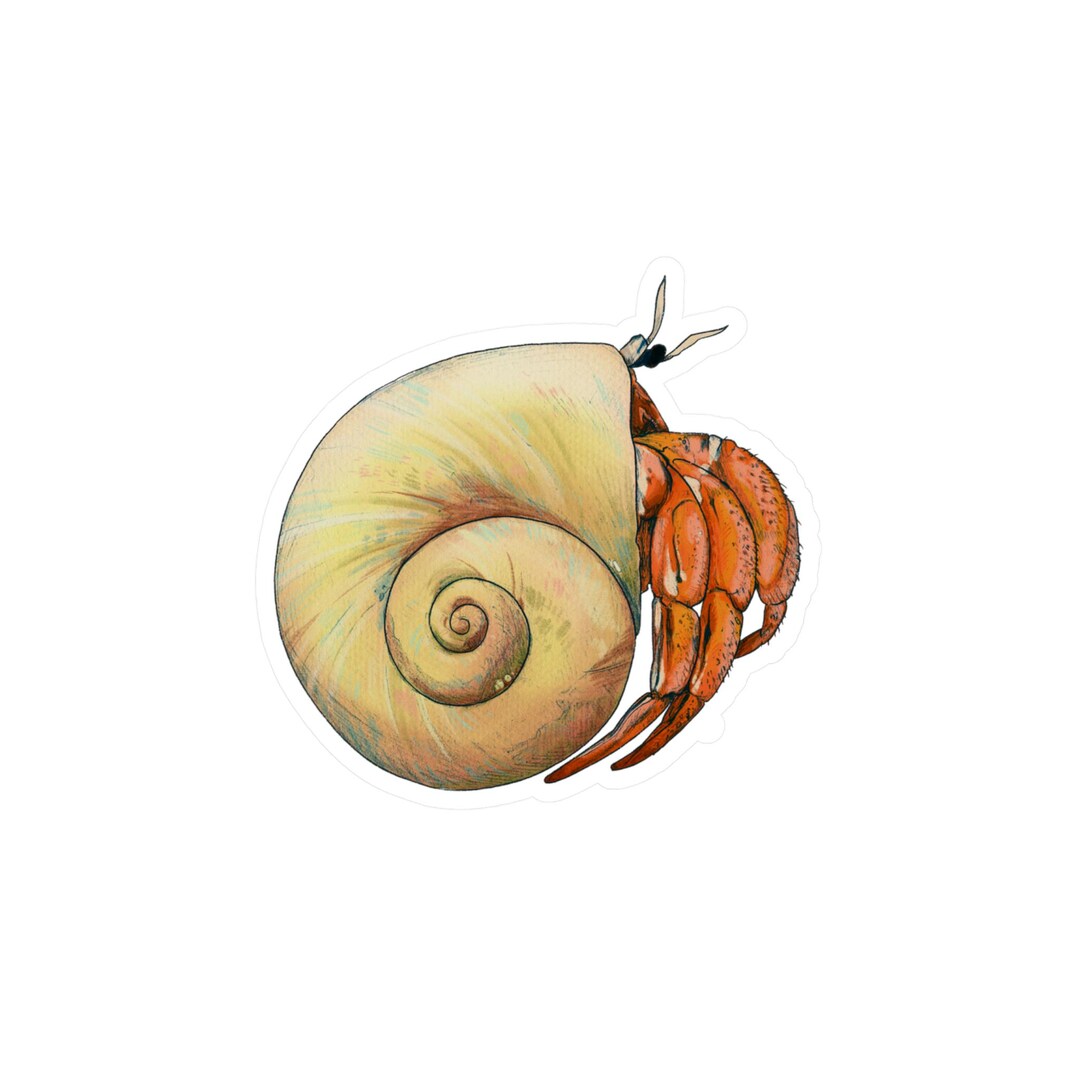 Hermit Crab Vinyl Sticker - Etsy
