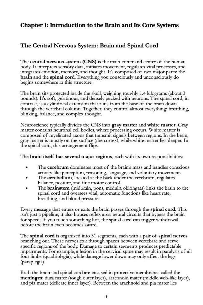 How the Brain Works Essentials Guide - A Clear Introduction to Memory ...