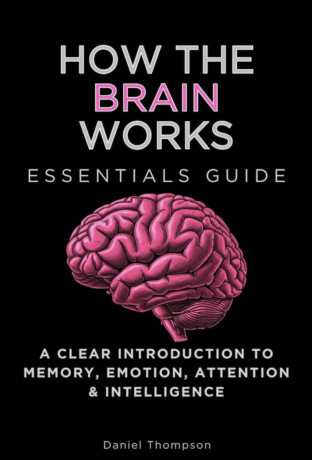 How the Brain Works Essentials Guide - A Clear Introduction to Memory ...